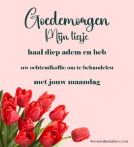 Fijne maandagochtend wensen en groeten