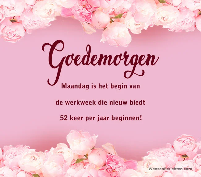 Fijne Maandagmorgen Citaten Het Is Wel Zo 🤍 #wijsheid #spreuk