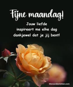 Goedemorgen maandag wensen berichten en citaten