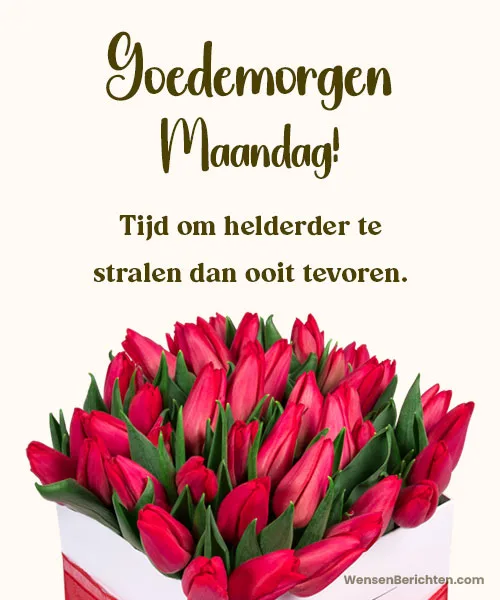 Maandag Motiverende Gezegden Motiverende Spreuken Voor Een Nieuwe