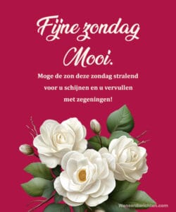 Fijne Zondag Wensen, Berichten en Citaten