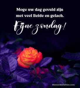 Fijne Zondag Wensen, Berichten en Citaten